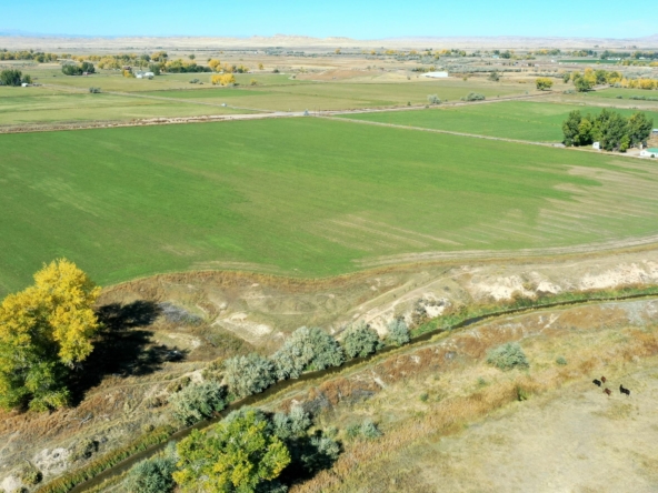 Our Agents - Western Land