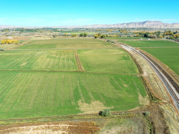 Our Agents - Western Land