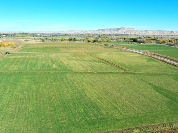 Our Agents - Western Land