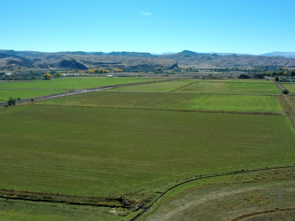 Our Agents - Western Land