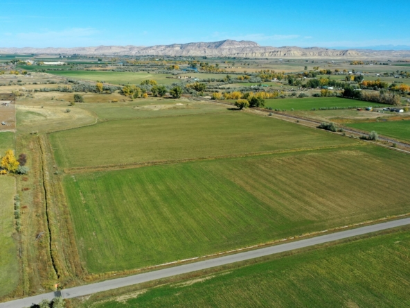 Our Agents - Western Land